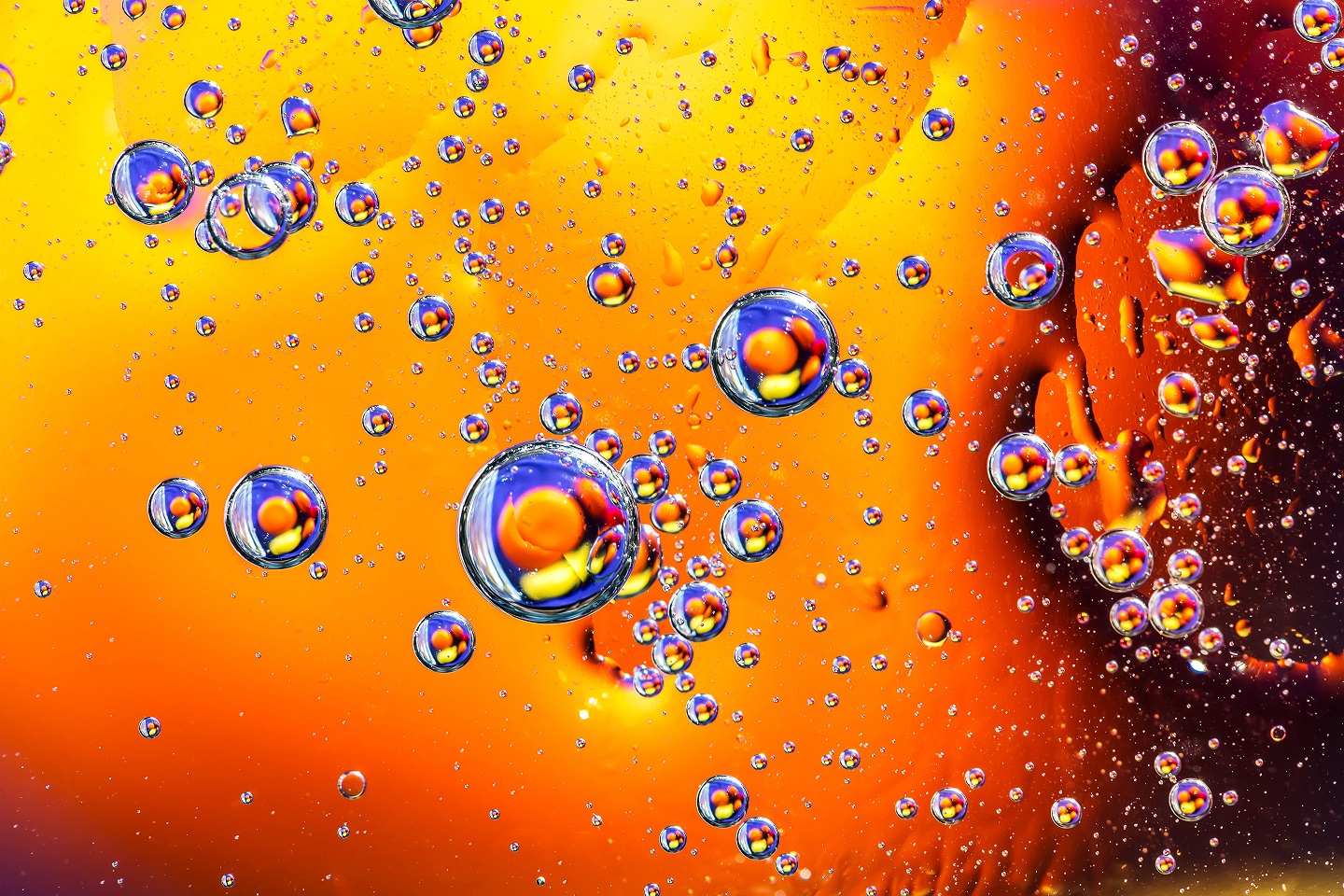 Arecor Therapeutics Interim Results 2025 | SparkLive | LSEG