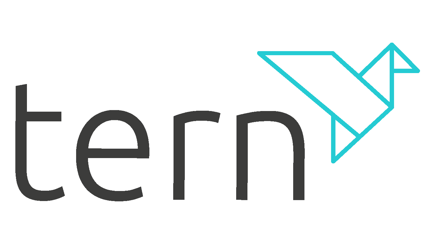 TERN PLC TERN Stock | London Stock Exchange