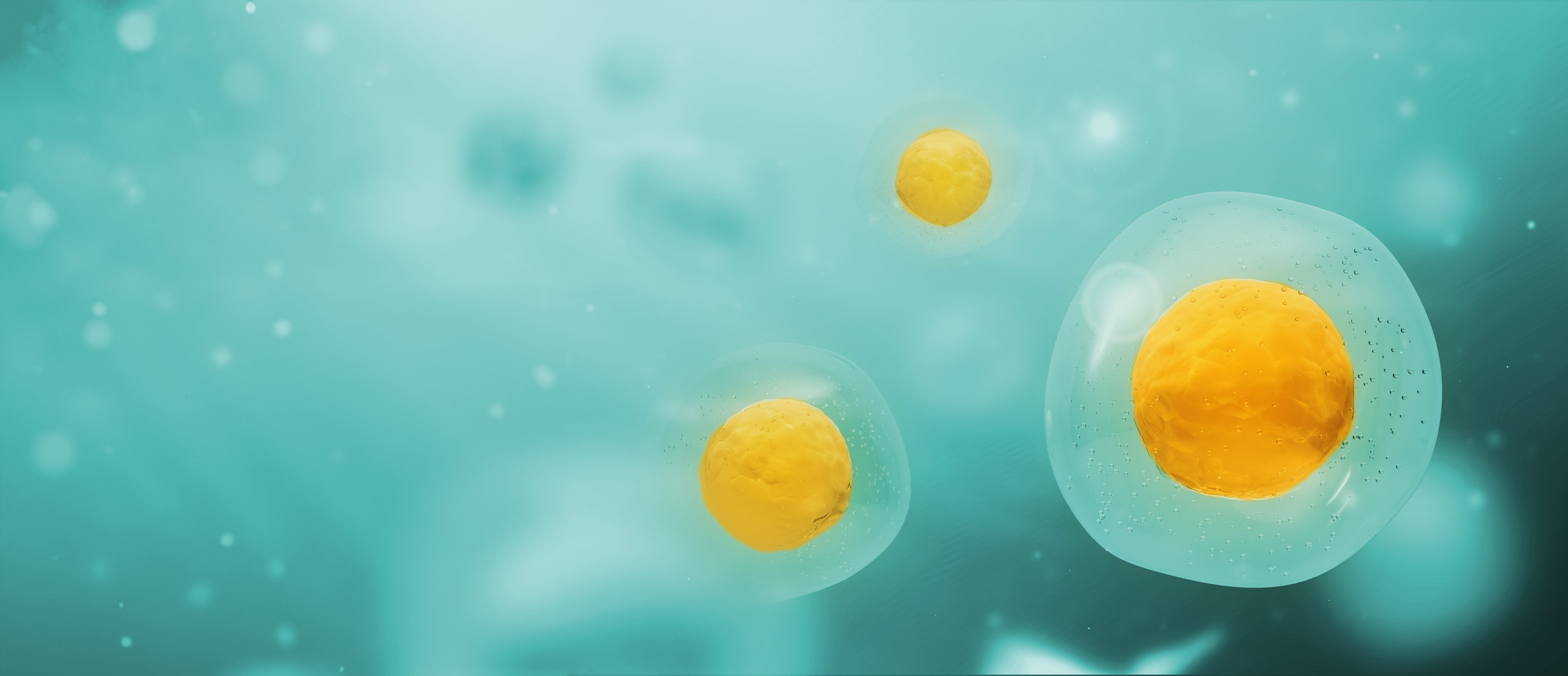 Reports Strong Phase 2 data on iSCIB1+ in Advanced Melanoma | SparkLive ...