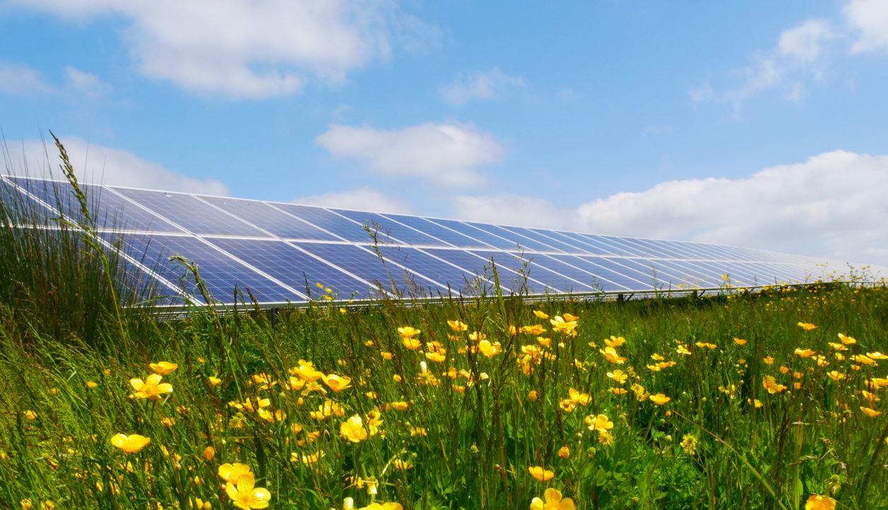 Homepage | SparkLive | LSEG