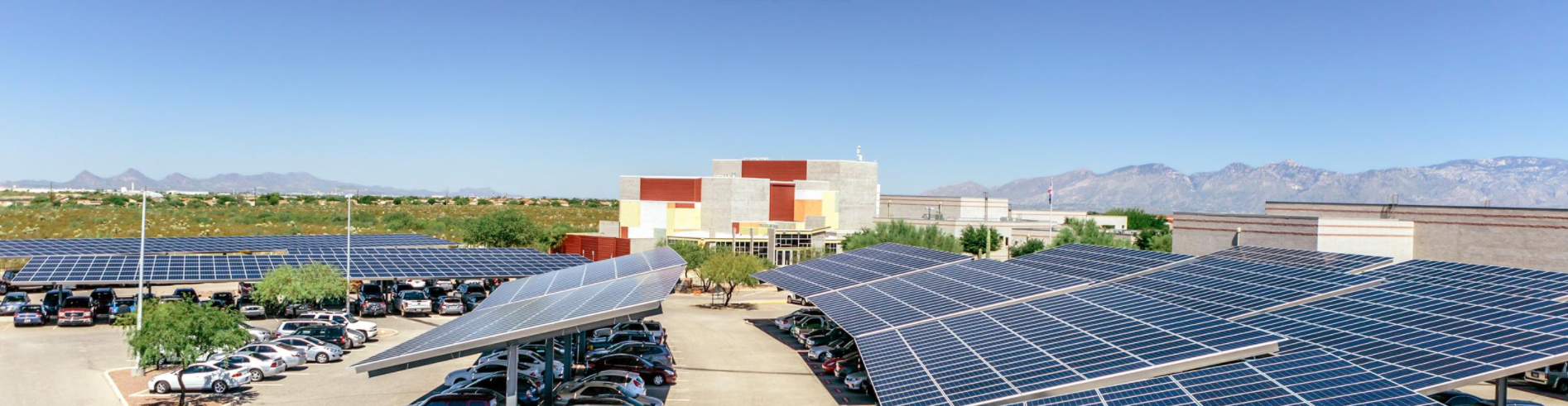 Homepage | SparkLive | LSEG