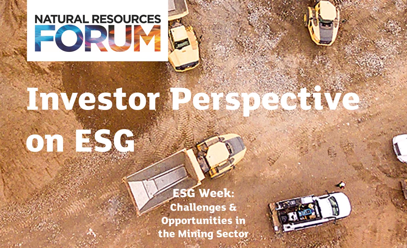 Closer Look: ESG Week Company Case Studies | Issuer Services | LSEG