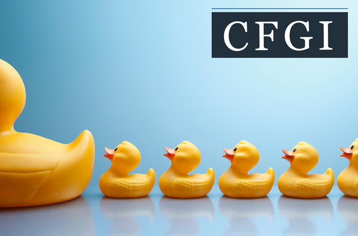 Risk Management: Are your Ducks in a Row? | Issuer Services | LSEG