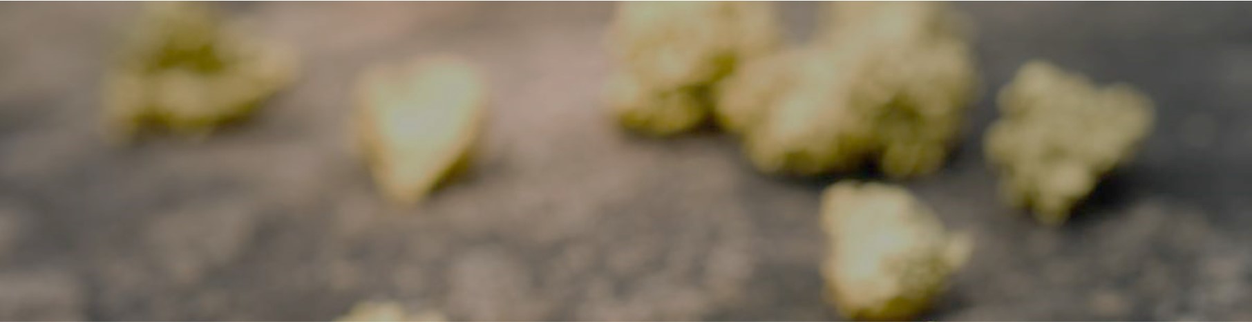 PureGold Mining | Issuer Services | LSEG