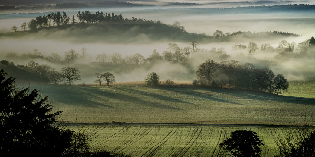 Co-operative Group Sustainability Bond Issuance | Issuer Services | LSEG